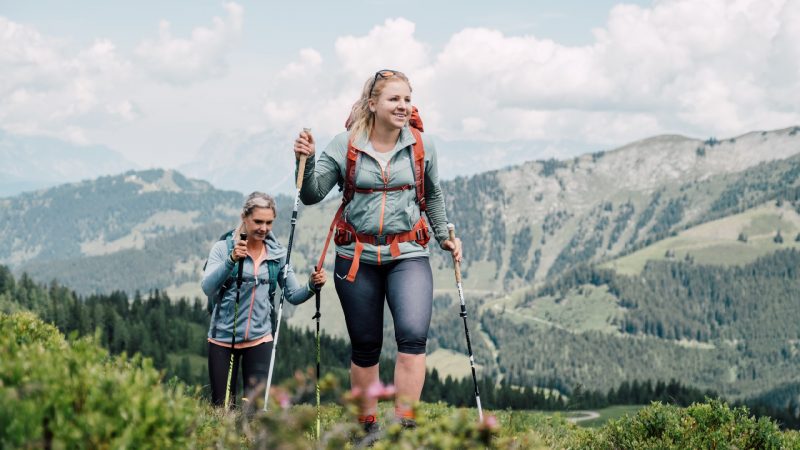 Feratel Deskline: Eingabe-Guide - SalzburgerLand Tourismus